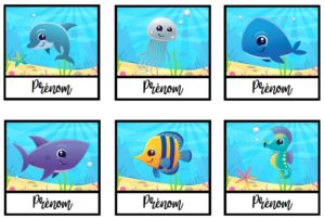 Classe • Affichages • Étiquette portemanteau