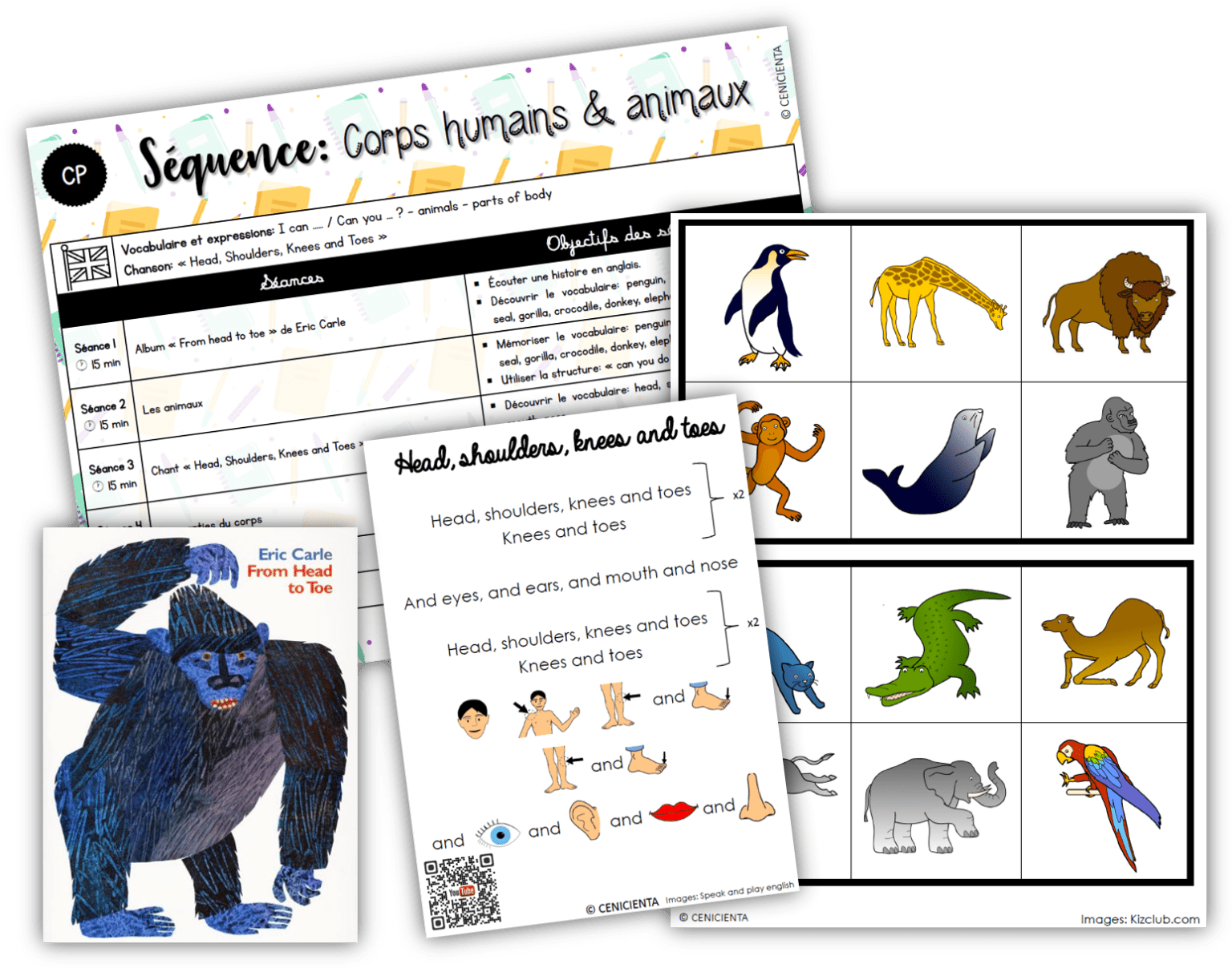 CP • Anglais • Séquence "Les parties du corps"