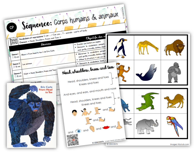 CP • Anglais • Séquence "Les parties du corps"