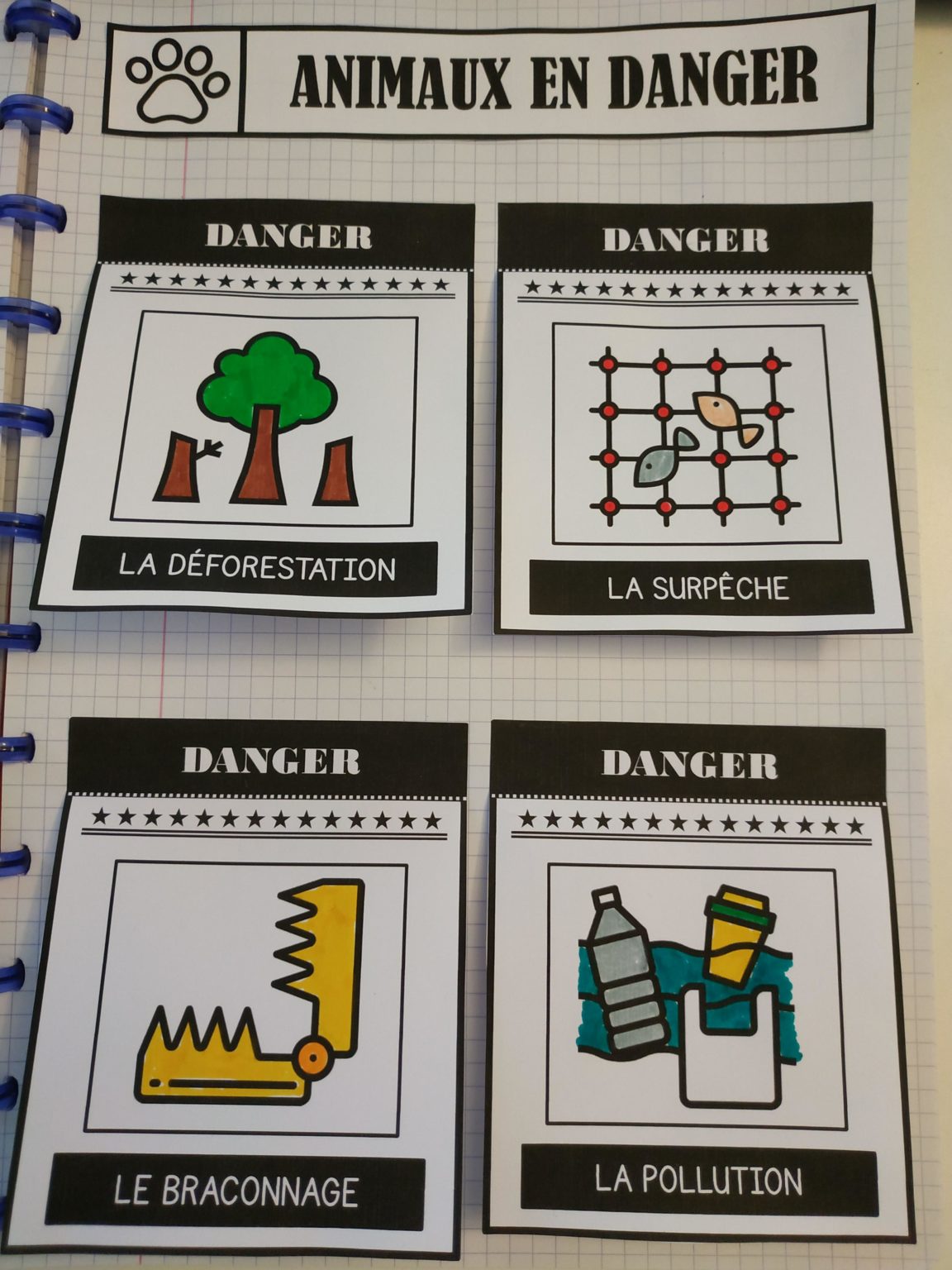 CP • QLM Sciences • Leçons à manipuler "Les animaux"