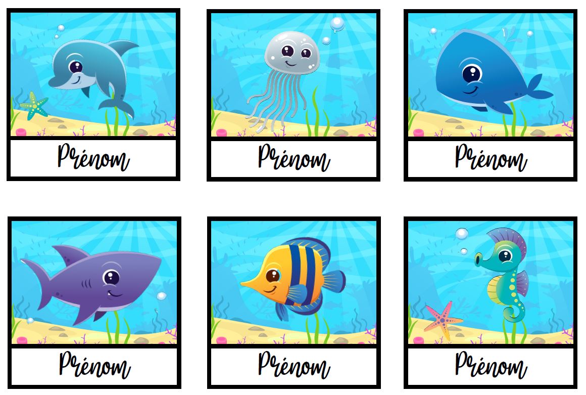 Classe • Affichages • Étiquette portemanteau