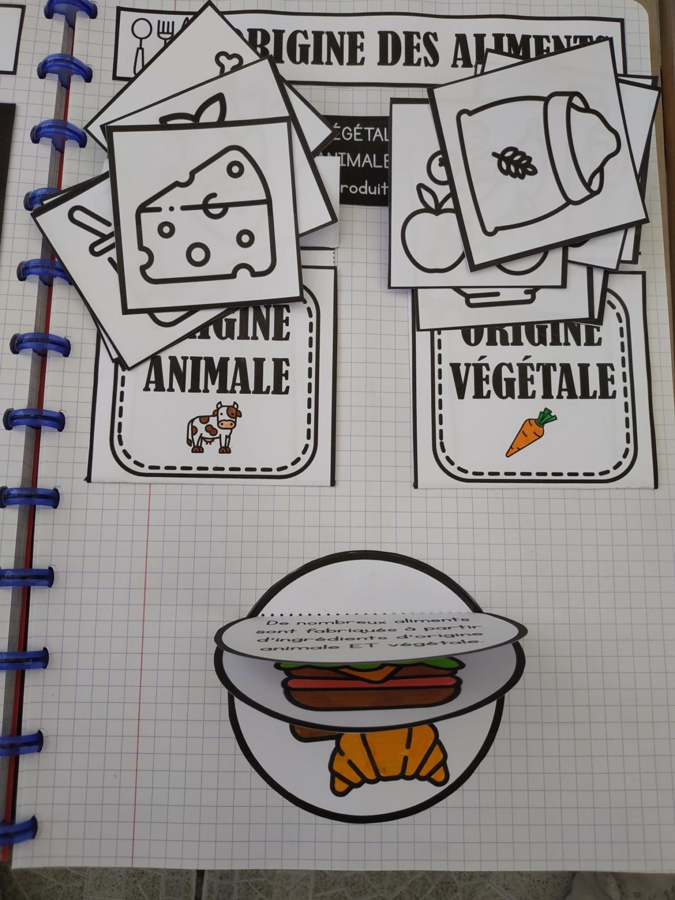 alimentation Archives