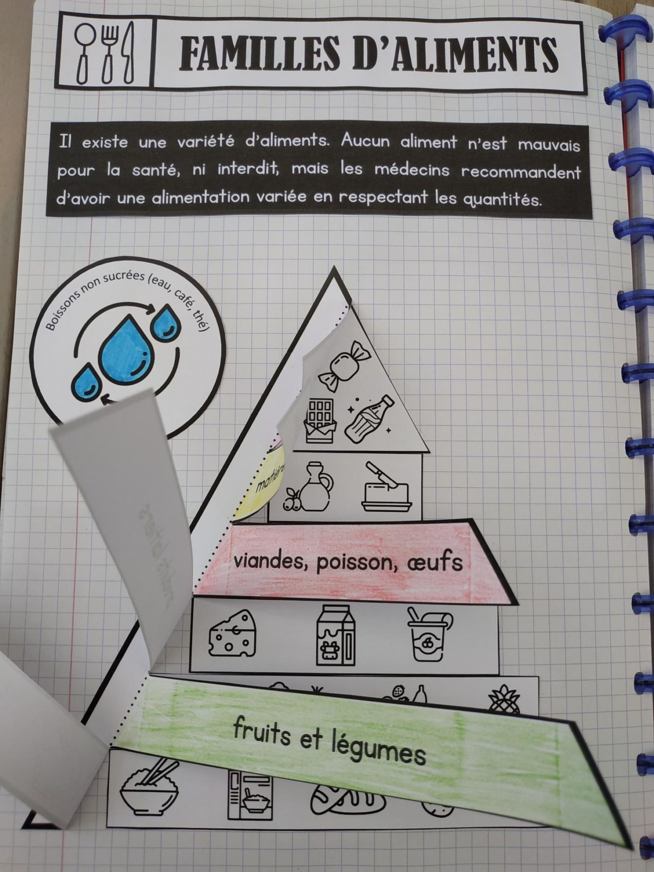 CE1 • QLM Sciences • Leçons à manipuler "L'alimentation"